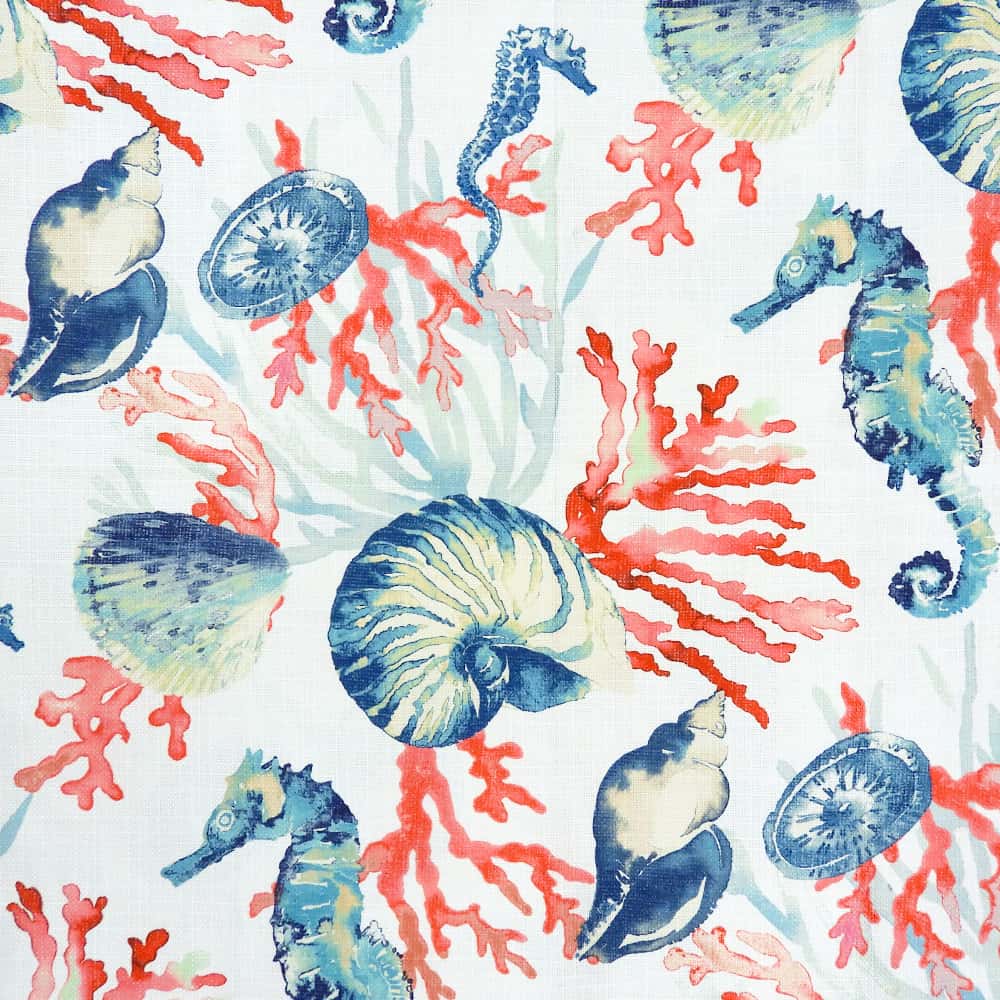 La Concha – Fabric Showcase